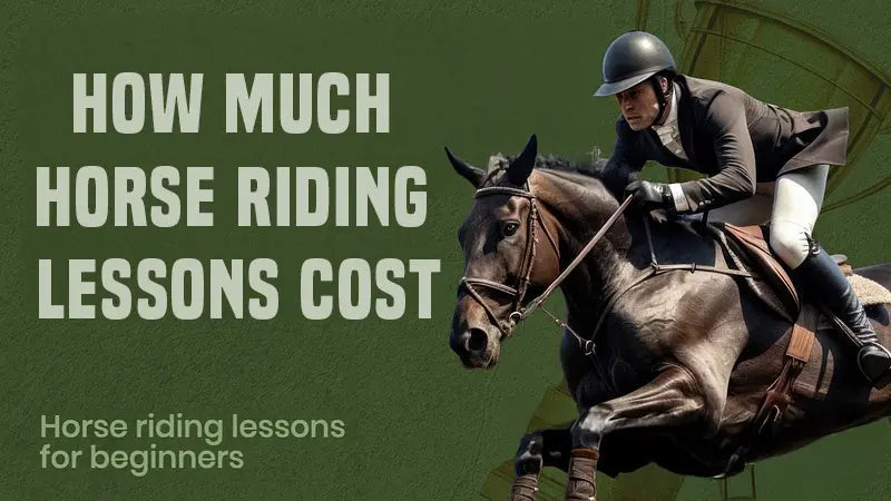 How Much Horse Riding Lessons Cost? - Huntley Equestrian – Huntley ...