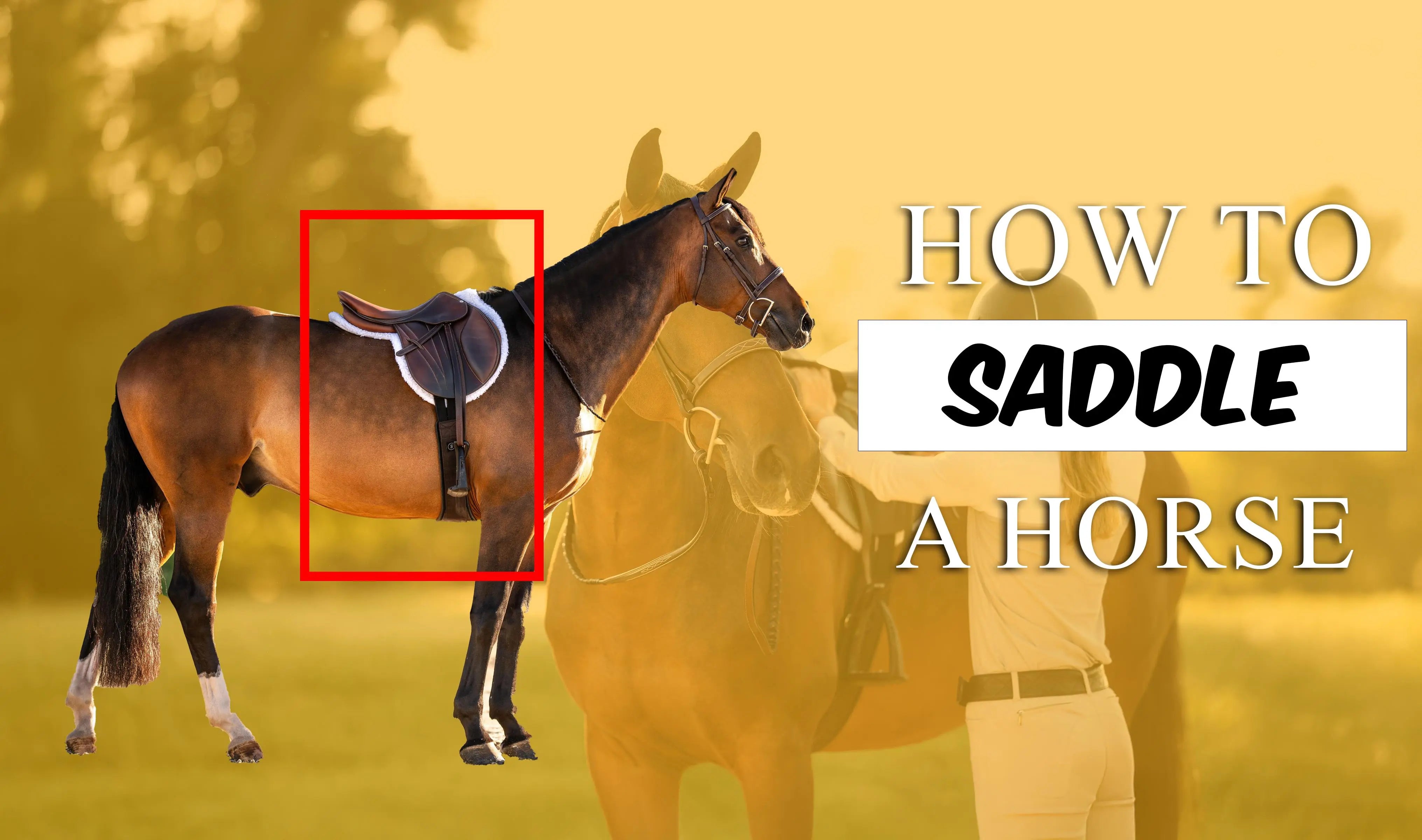 How To Saddle A Horse? - Huntley Equestrian – Huntley Equestrian