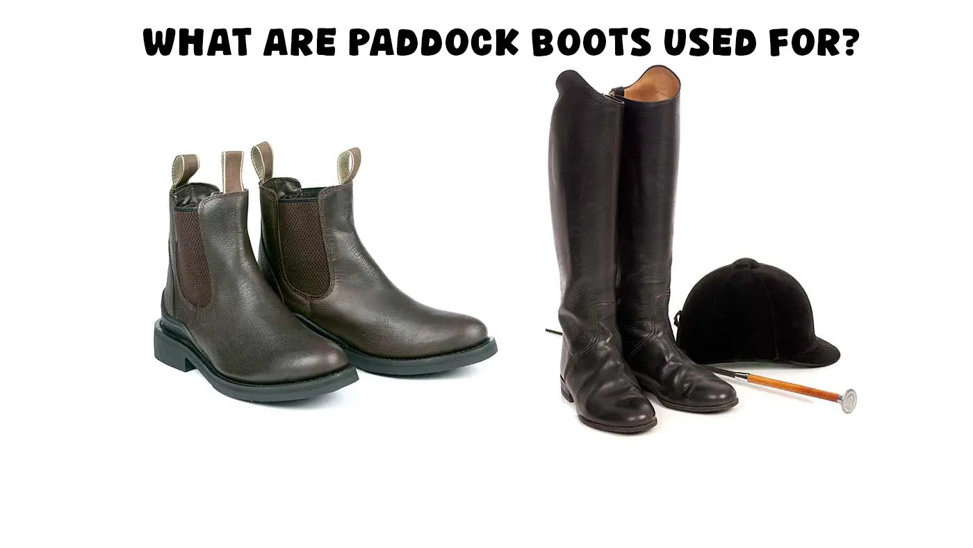 What Are Paddock Boots Used for? - Huntley Equestrian – Huntley Equestrian