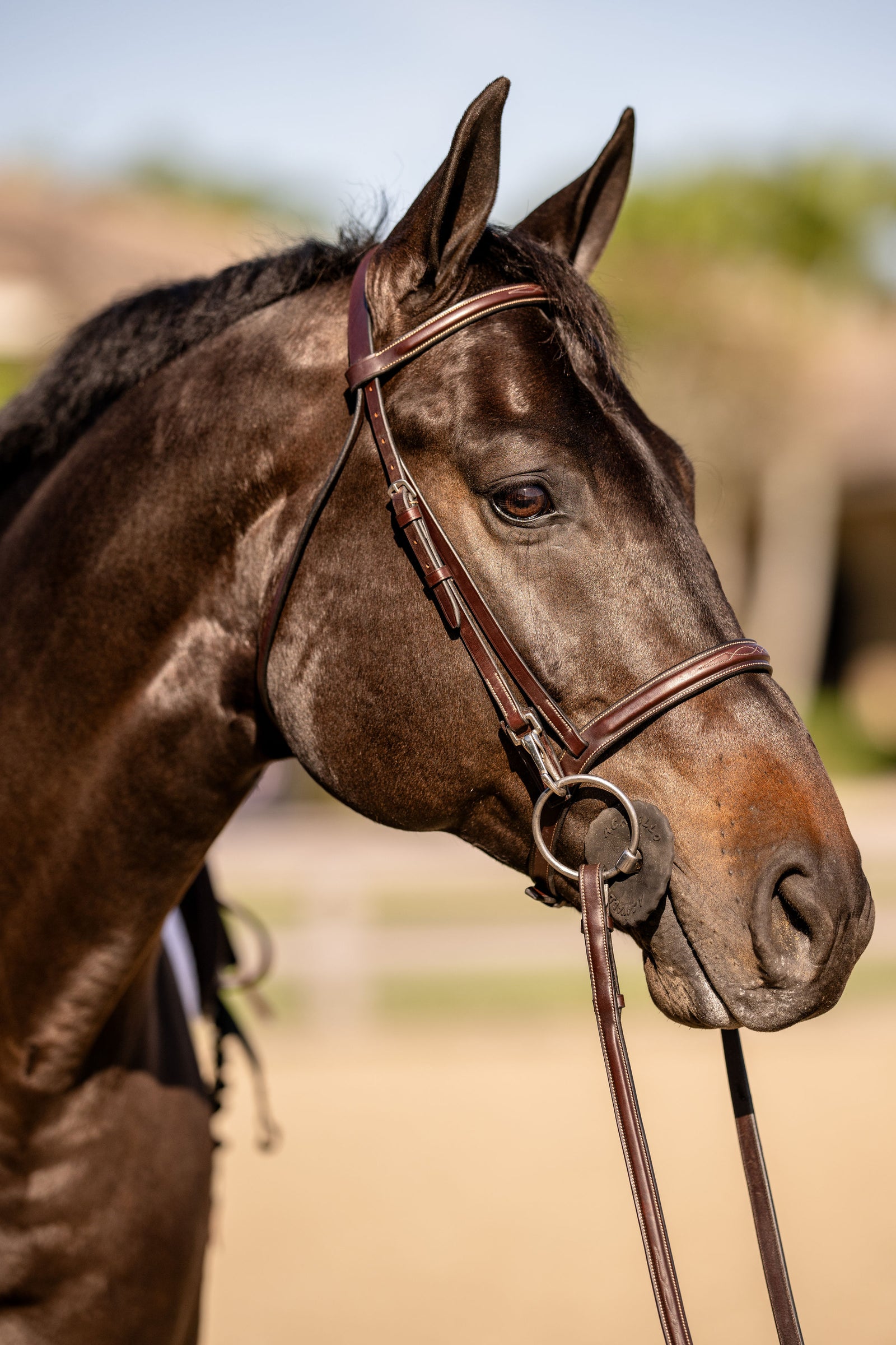 Bridles - Huntley Equestrian